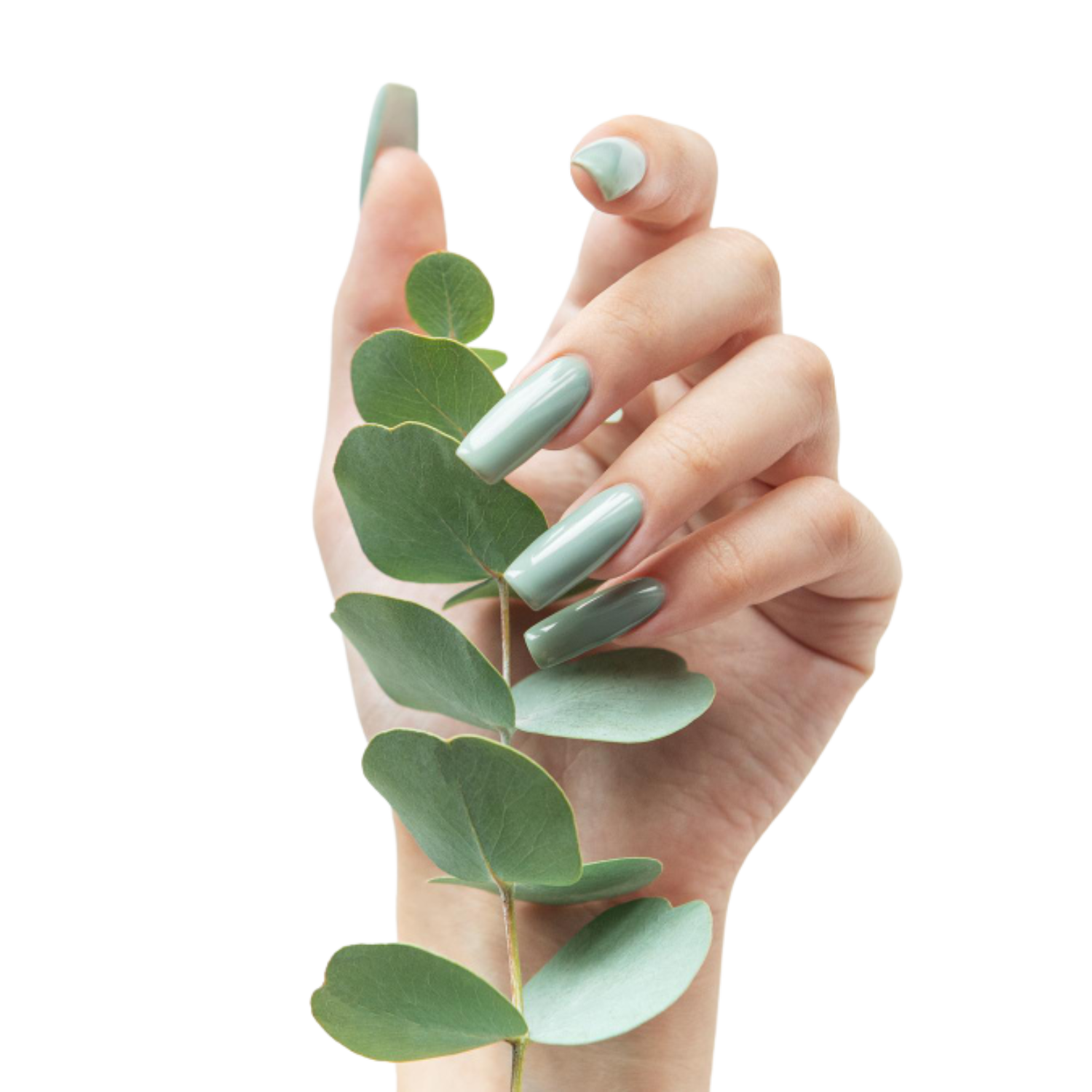 Services – Fancy Nail Spa